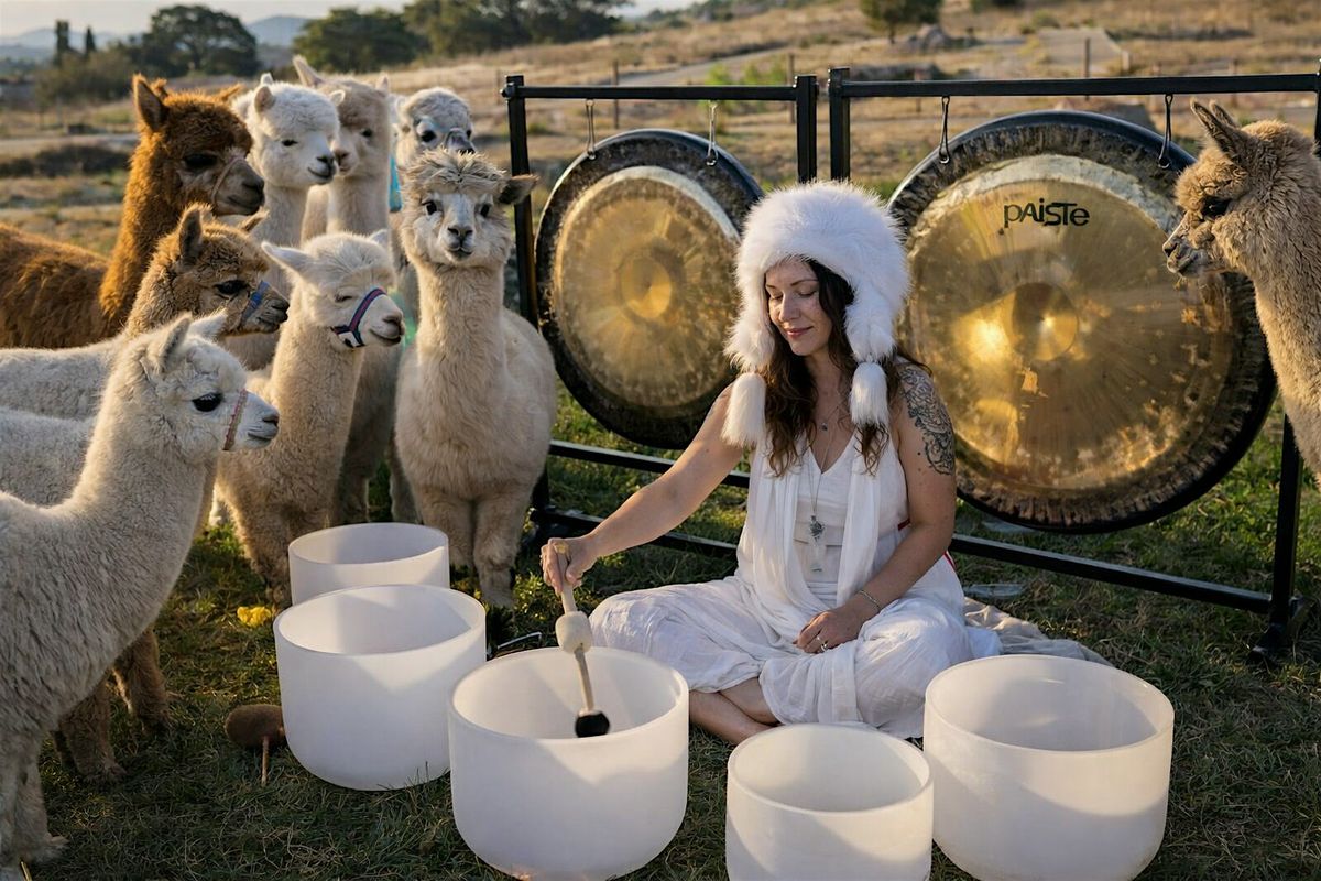 Sound Bath Experience with Alpacas!, 9980 Wise Rd, Auburn, 14 June 2026 ...