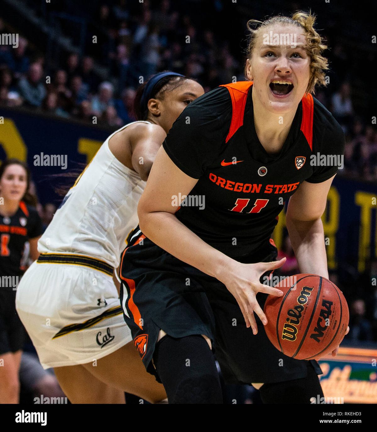 California Golden Bears Womens Basketball vs. Oregon State Beavers, Haas Pavilion, Berkeley ...