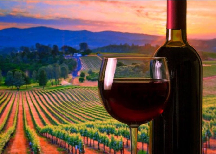 Aperitivo Fridays-Sip, Savor, & Shop!, Vicini Pastaria, St. Louis, 5 ...