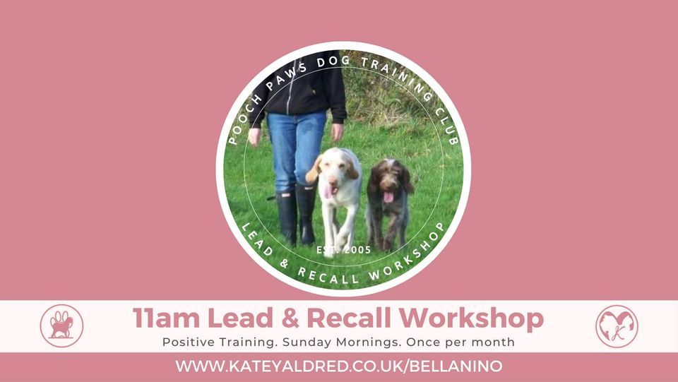 LAST SPACE Loose Lead & Recall Workshop, St Olaves Village Hall, Yarmouth, 16 March 2024 | AllEvents