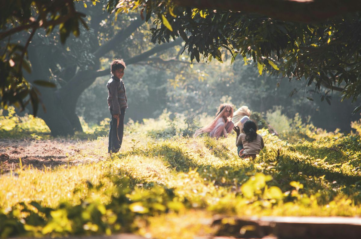 Family Fun in the Woods with Nature Nurture Bushcraft - FAMILY SESSION ...