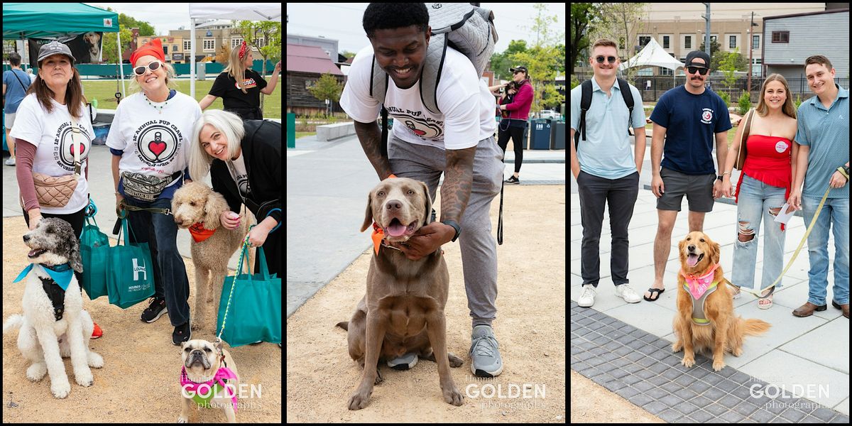 13th Annual Dickson St. PUP Crawl: April 25, 2026, Dickson Street ...