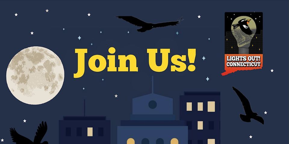 Lights Out Connecticut, 2470 Fairfield Avenue,Bridgeport,06605,US, 2 ...