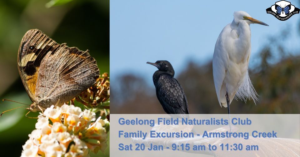 Family Friendly Excursion at Armstrong Creek, JD Simpson Sanctuary ...
