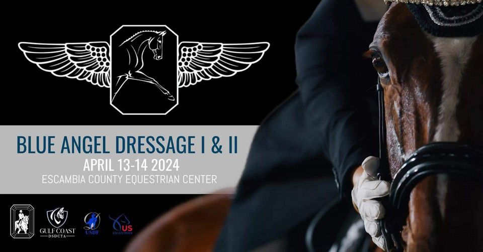 Blue Angel Dressage I and II, Escambia County Equestrian Center ...