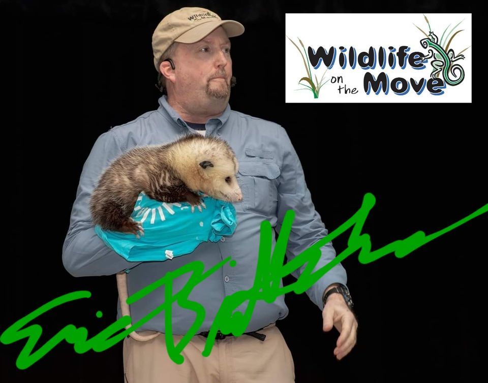 Wildlife On The Move Presents the Possum Party for The Hockaday School ...