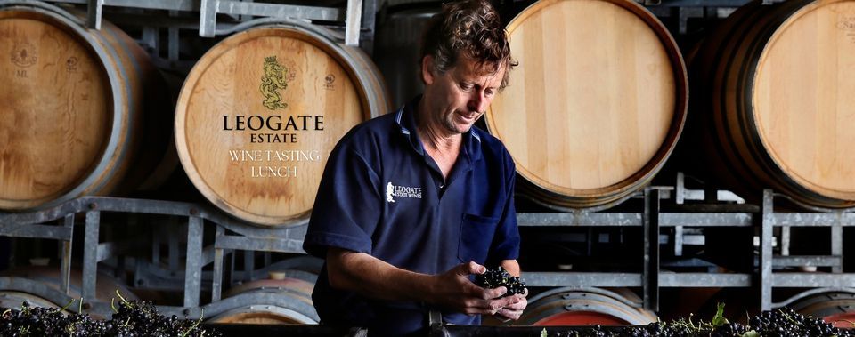 Wine Tasting Lunch with Leogate Estate, 169 Castlereagh Street, Sydney ...