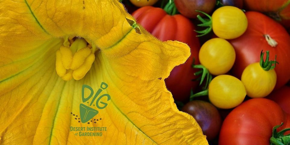 DIG IN-PERSON: Spring Vegetables - Making the Most of a Fast Season ...