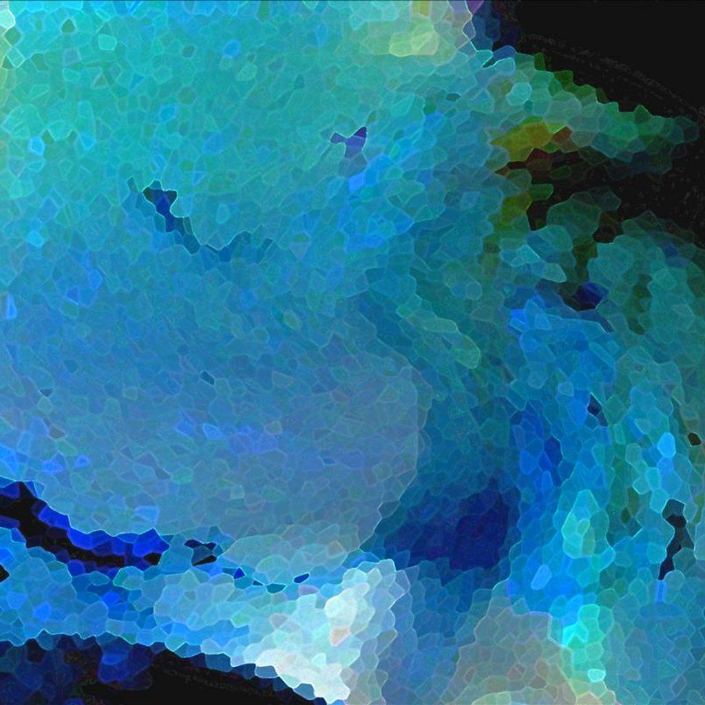 A Splash of Colour Photography Exhibition, Parc Fforestfach, Swansea ...