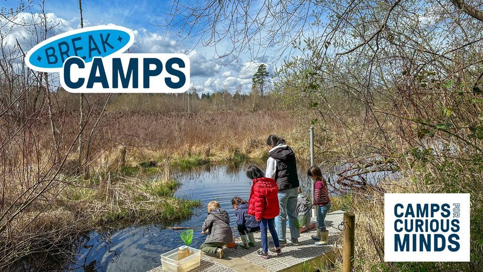 Winter Wetland: Mid-Winter Break Camp at Mercer Slough (Grades 3-5 ...