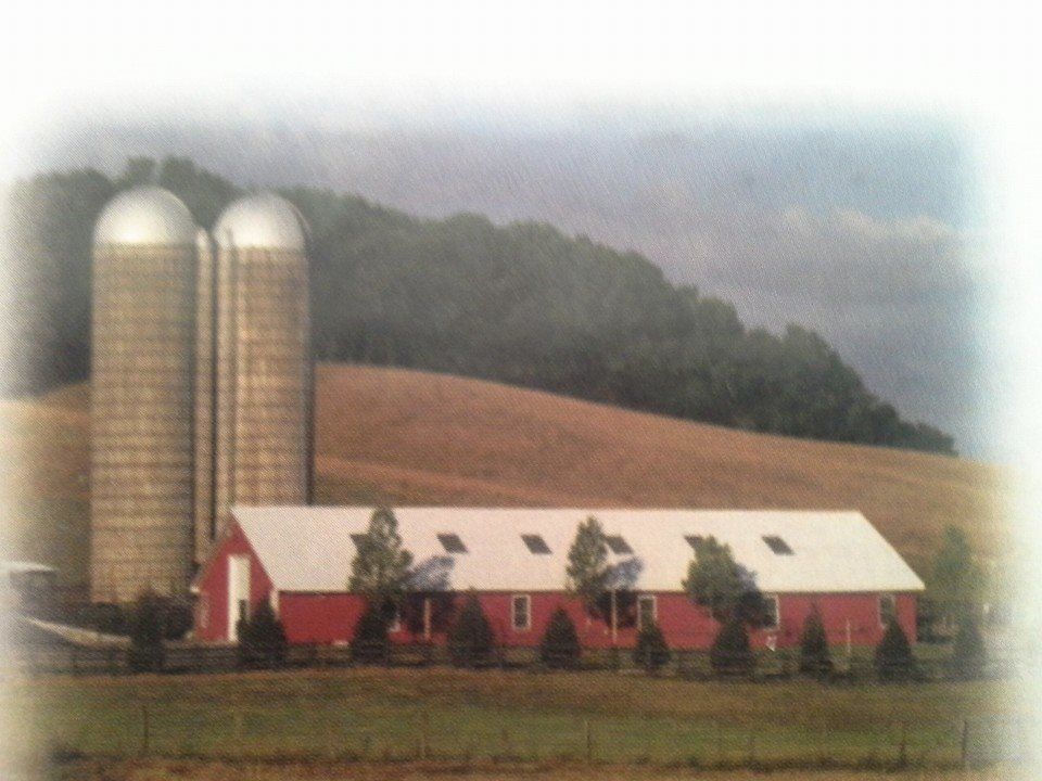 Ralph Stanley II and the Clinch Mountain Boys, Little River Bluegrass ...