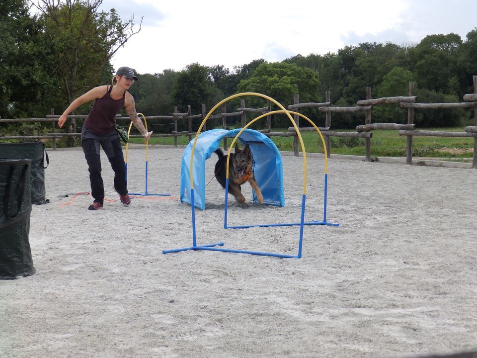Stage Hoopers Agility animé par Yannick Thoulon de Canissimo ...