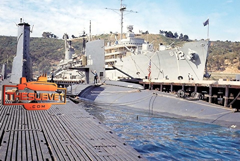 BUBBLEHEAD FISH FRY 24, Micco Park, Sebastian, 9 March 2024 | AllEvents.in