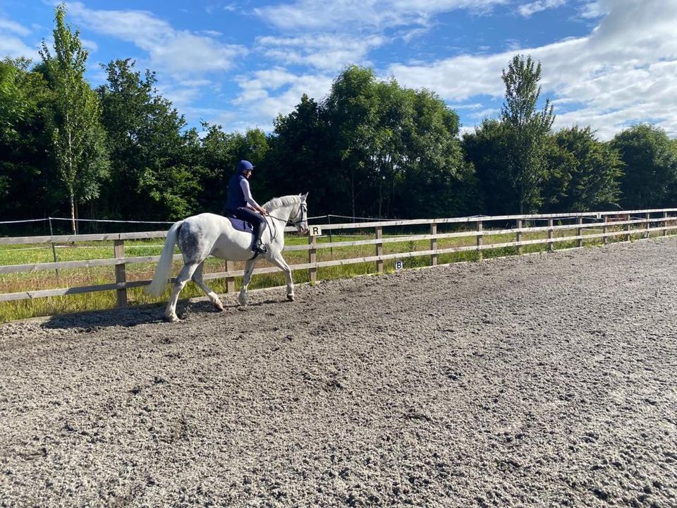 Friday Night Dressage Training - members only, Conquest Centre, Taunton ...