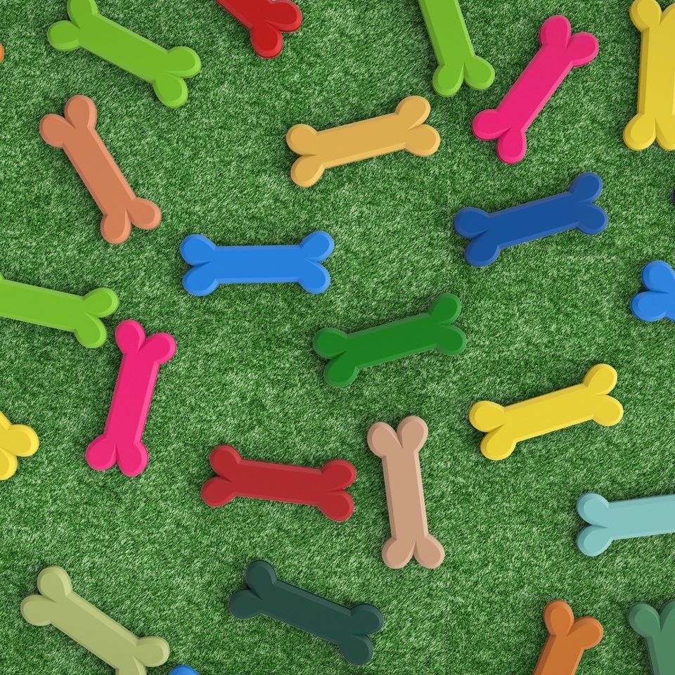 Celebrate National Crayon Day @ The Bark Park, 3805 W. River Rd ...