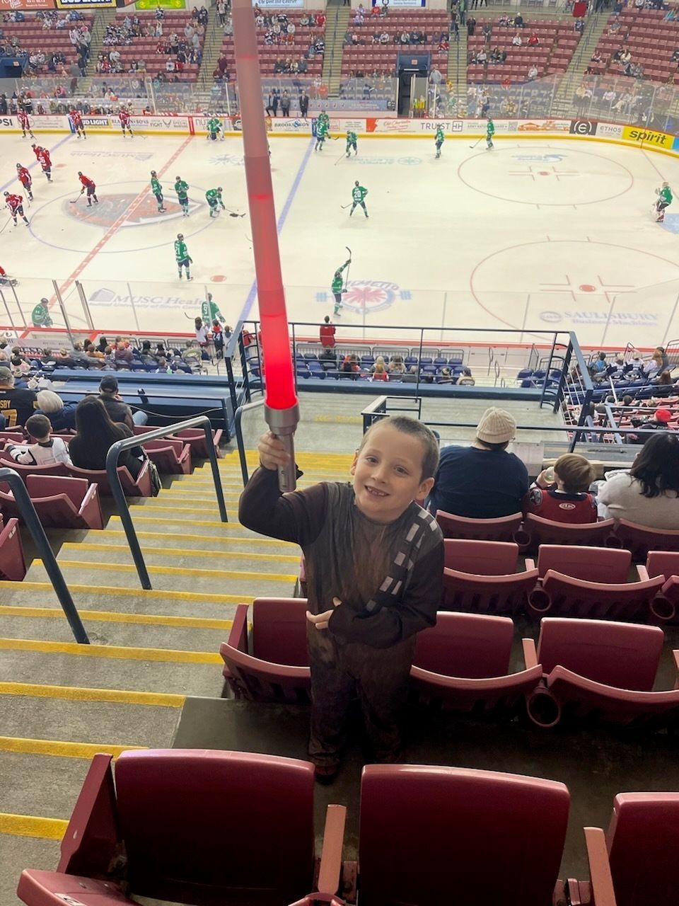 South Carolina Stingrays vs. Florida Everblades, North Charleston ...