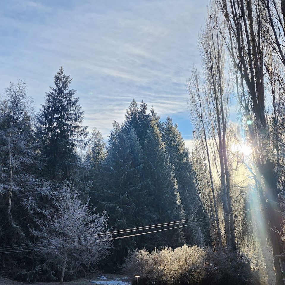 Winter Sowing Party #2, Mara, Sicamous, February 10 2024 | AllEvents.in