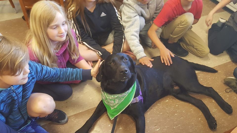 Good Dog II- Intermediate Level, Cosmic K-9, Canton, 18 July