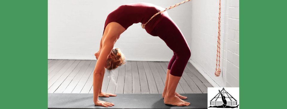 10-Week Yoga Course for Beginners - Unlimited, Newcastle Iyengar Yoga ...