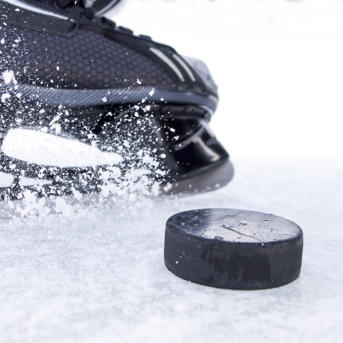 Maine Mariners at Rapid City Rush at Ice Arena at The Monument, Ice ...