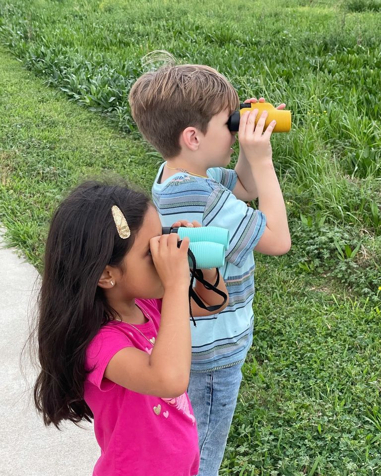 Eco Explorers - Botany , Exploration Green, Webster, 21 March 2024 ...