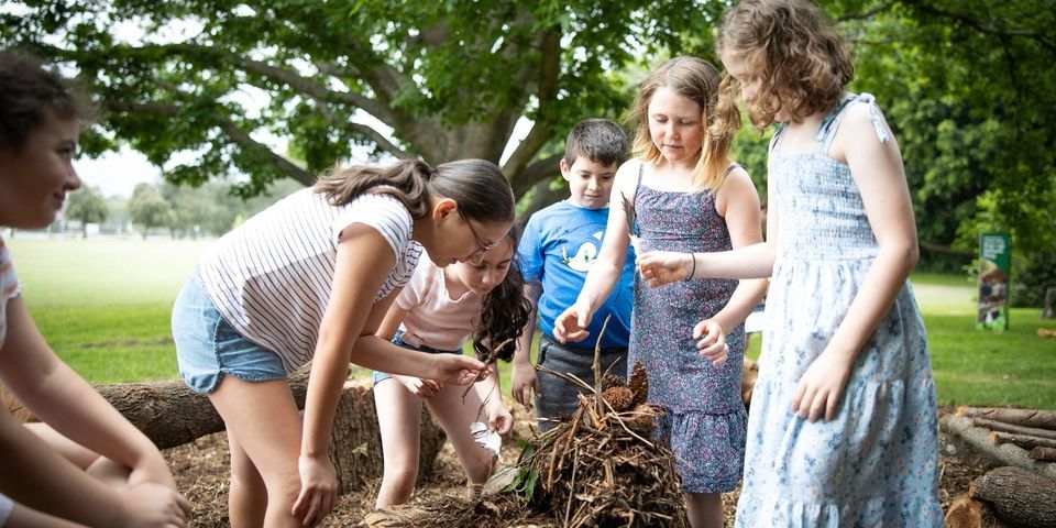Park Science at Callan Park - Marvellous Machines - Summer 2024, Callan ...