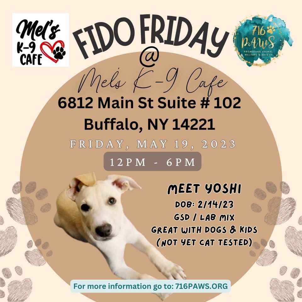 Fido Friday, Mel’s K-9 Cafe, Williamsville, 19 May 2023 | AllEvents.in