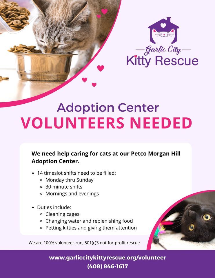 Petco Adoption Center Volunteers Needed, Petco Morgan Hill, 1 April ...
