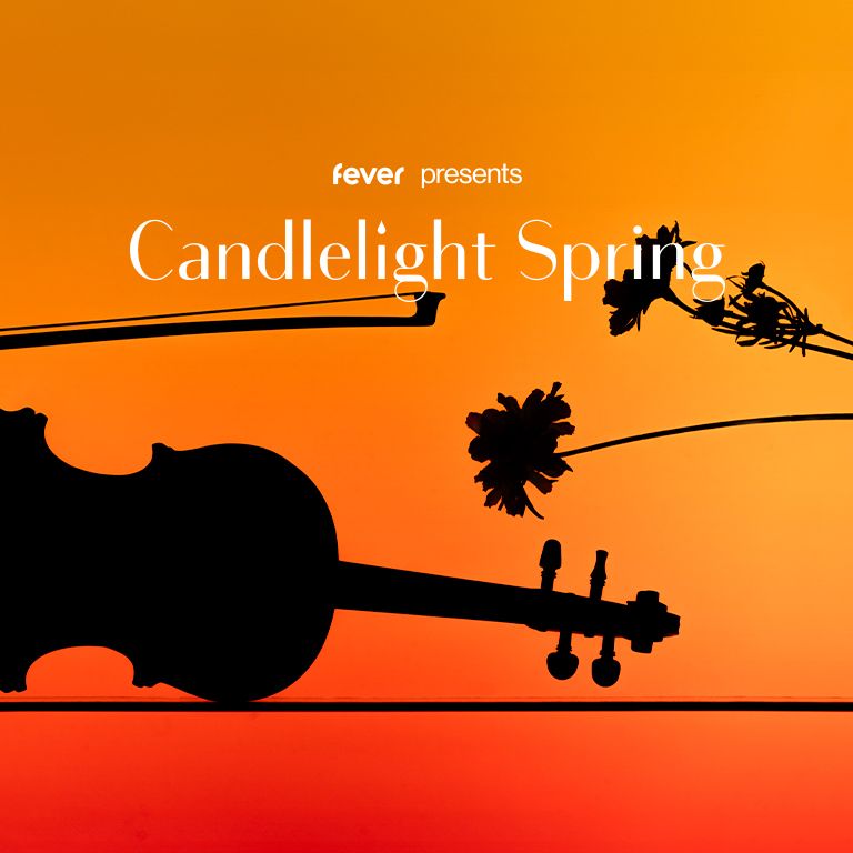 Candlelight: A Tribute to Whitney Houston, Hotel Colonnade Coral Gables ...