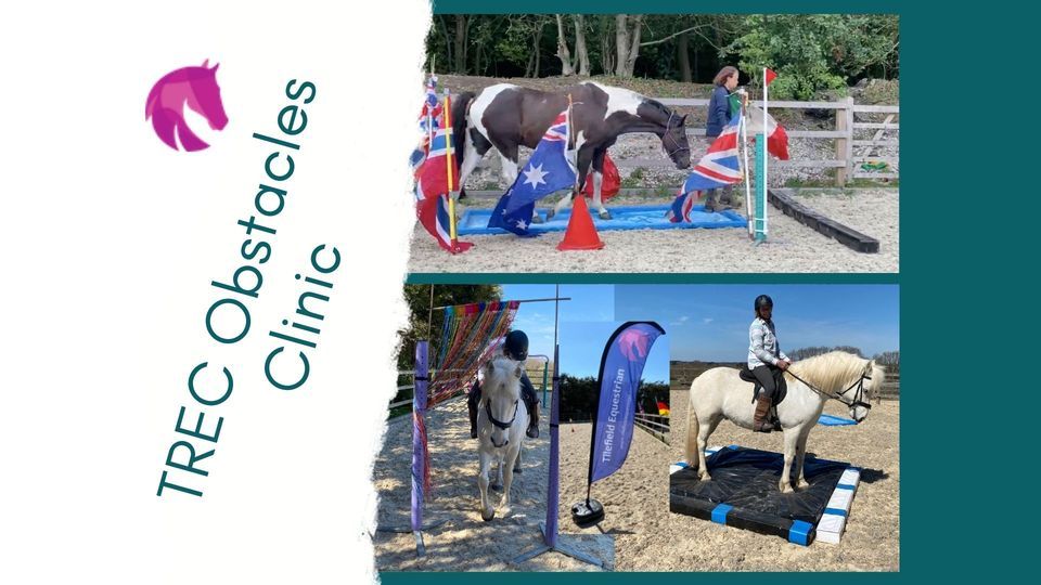 TREC Obstacles Clinic - 1 Hour Private Sessions, Tilefield Equestrian - Amanda Barton ...