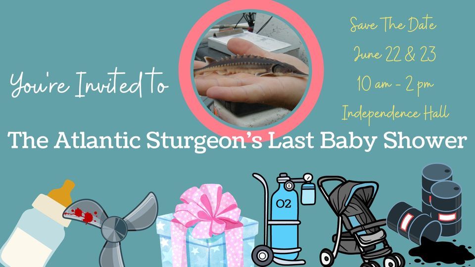 The Atlantic Sturgeon’s Last Baby Shower, Independence Hall ...