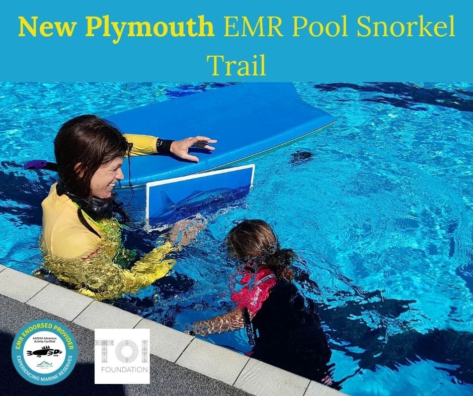 New Plymouth EMR Pool Snorkel Trail, Todd Energy Aquatic Centre ...