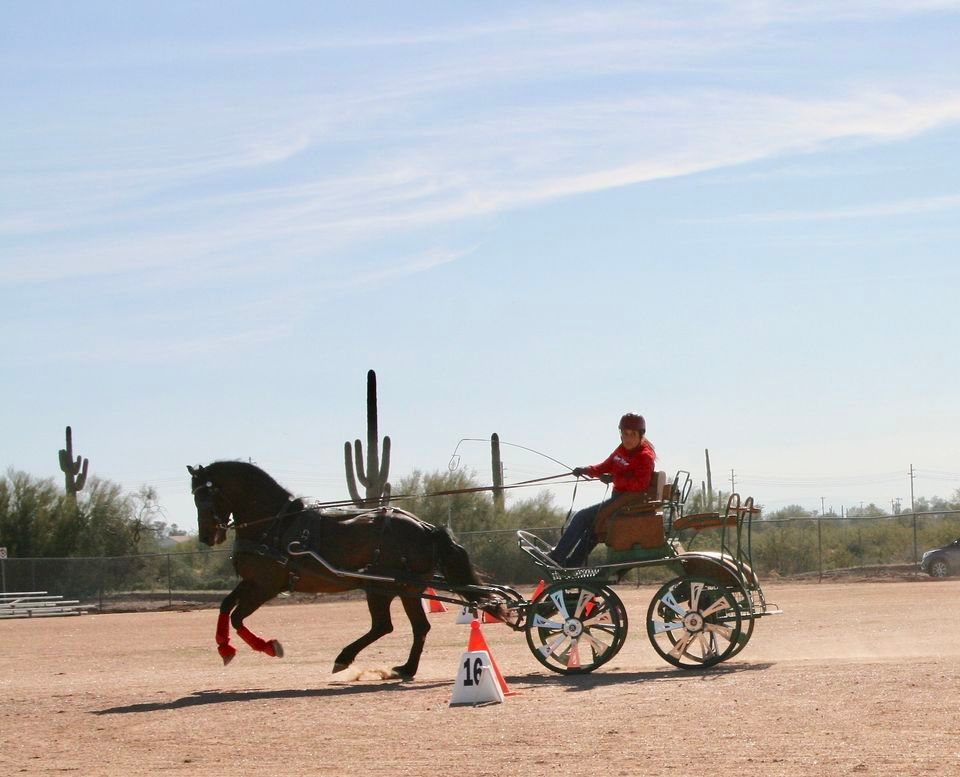 ADT#6 at Apache Junction Rodeo Grounds, Apache Junction Rodeo Grounds ...