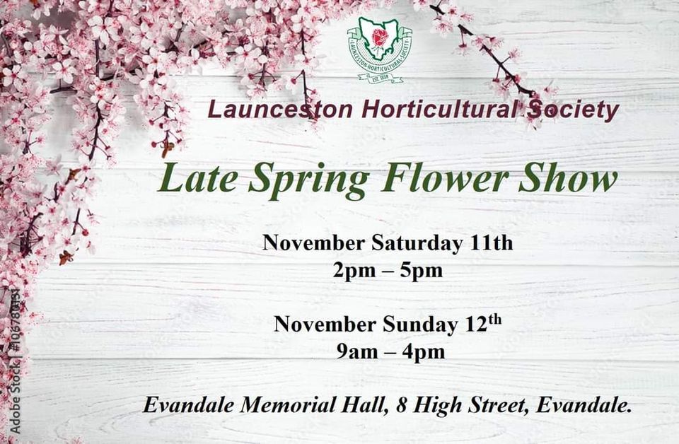 2023 Late Spring Flower Show, Evandale War Memorial Hall, Campbell Town ...