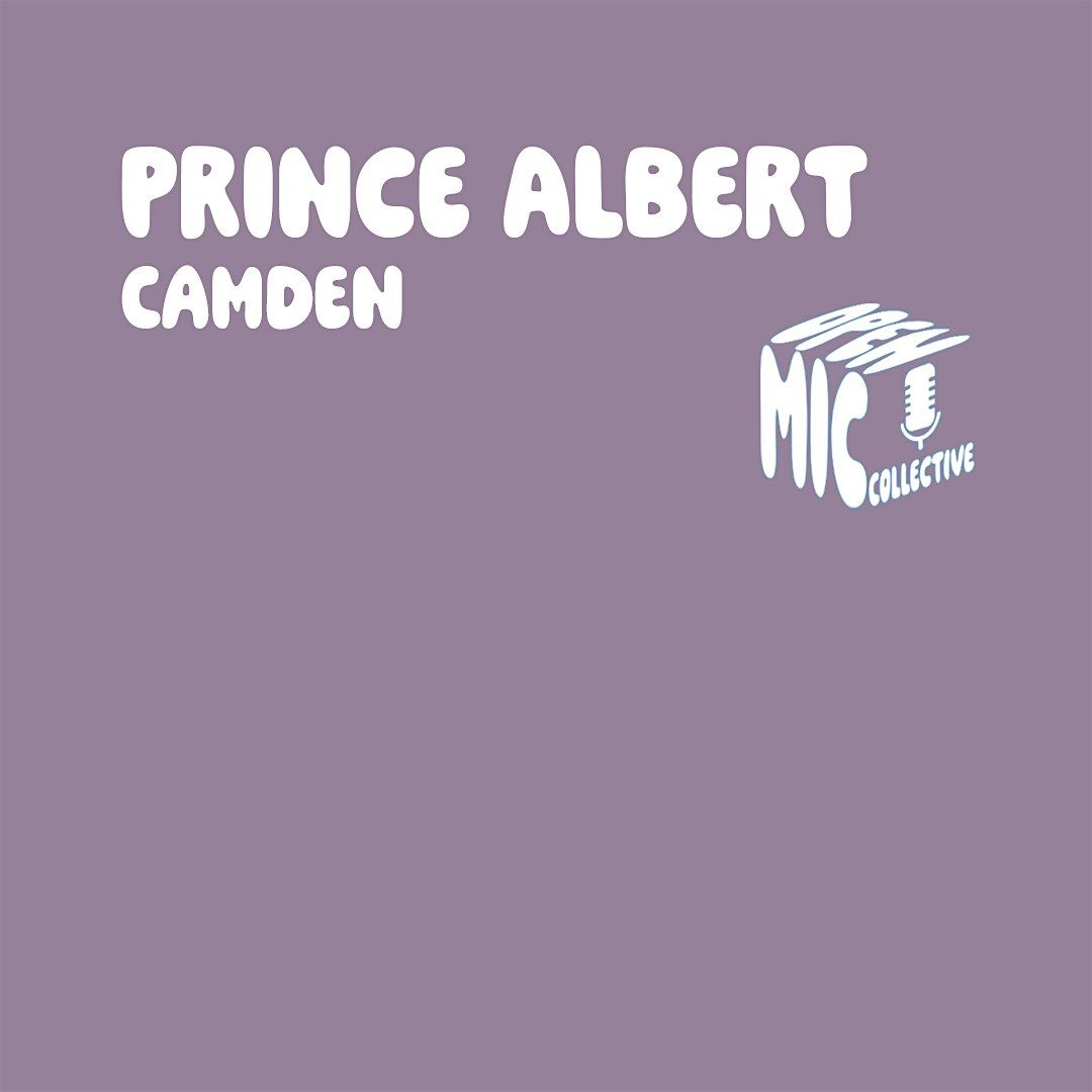 Open Mic Collective @ Prince Albert (Camden), Prince Albert, London, 3 ...