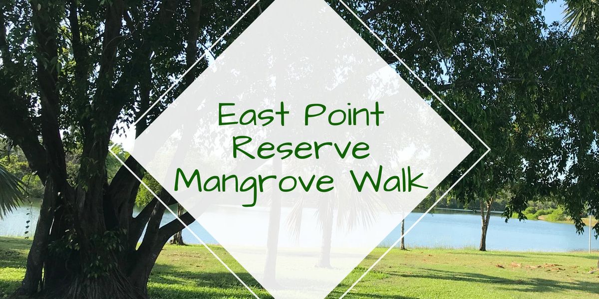 Seniors Month - East Point Reserve Mangrove Walk, East Point Reserve ...