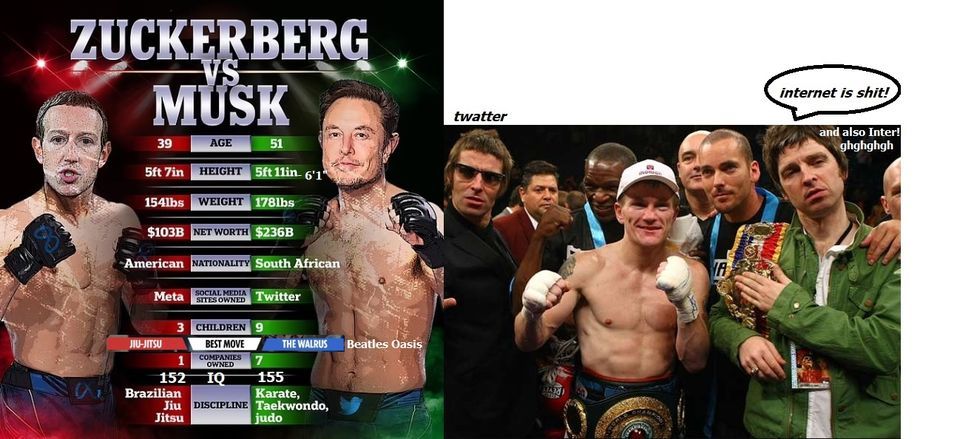 Mark Zuckerberg vs Elon Musk, in Italy (Arena Verona?) forza come on ...