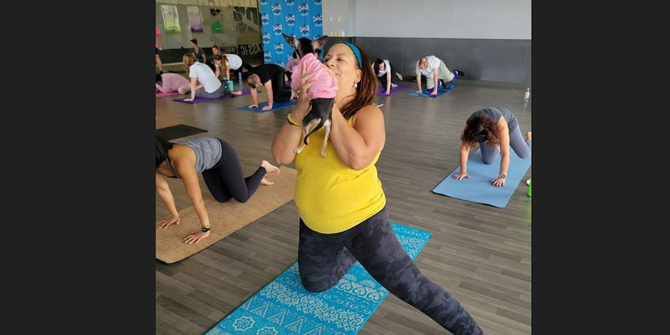 DNYP - Puppy Poses at One Life Fitness Olney!, 17821 Georgia Avenue ...