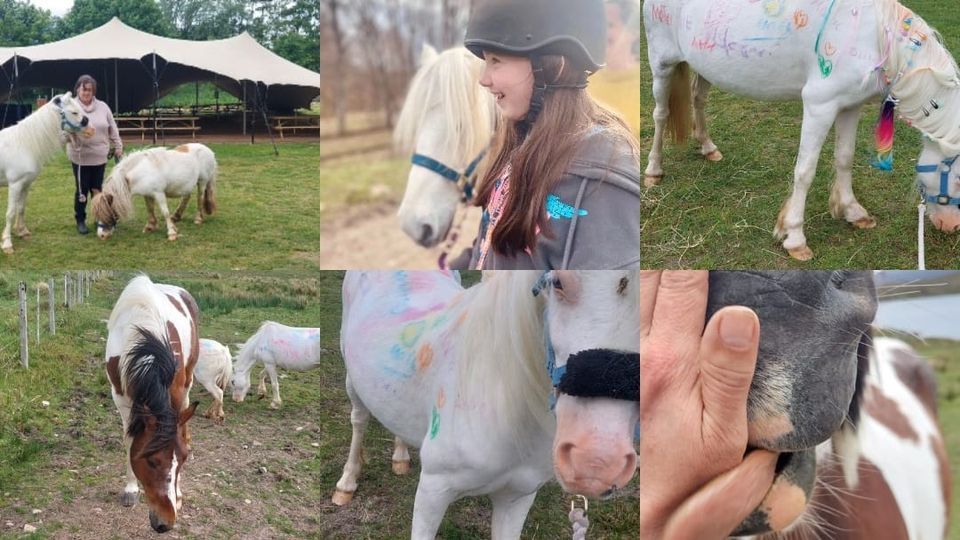 Return to the field , River Drive, Alness, IV17 0, United Kingdom ...