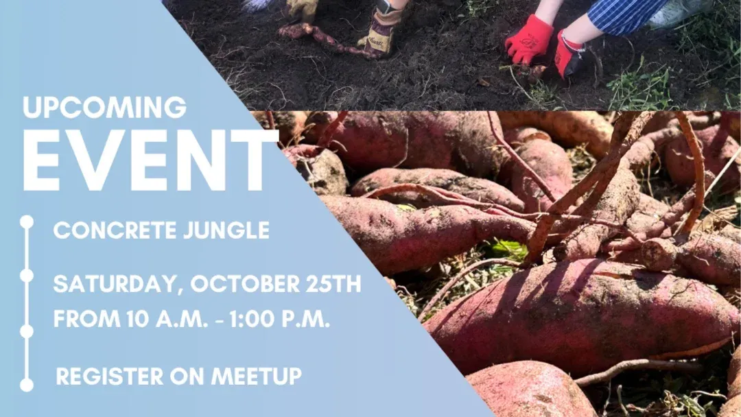 Community Bucket Volunteers with Concrete Jungle, Doghead Farm ...