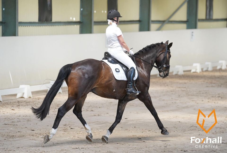 BD, Unaffiliated & MCI Dressage, Earlsway Farm Bramfield IP19 9AD Halesworth, United Kingdom ...