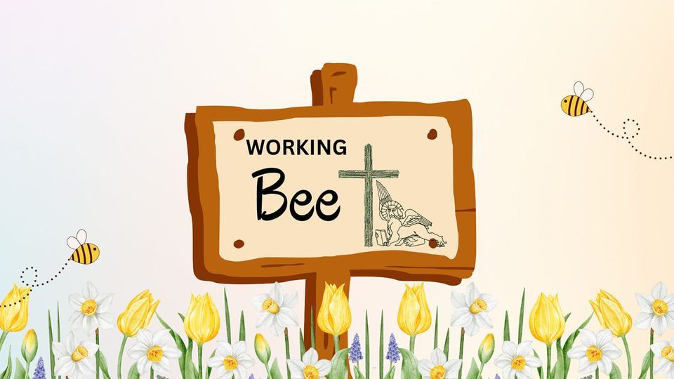 St Marks Working Bee, St Mark's Anglican Church: The Gap, 1 December to ...
