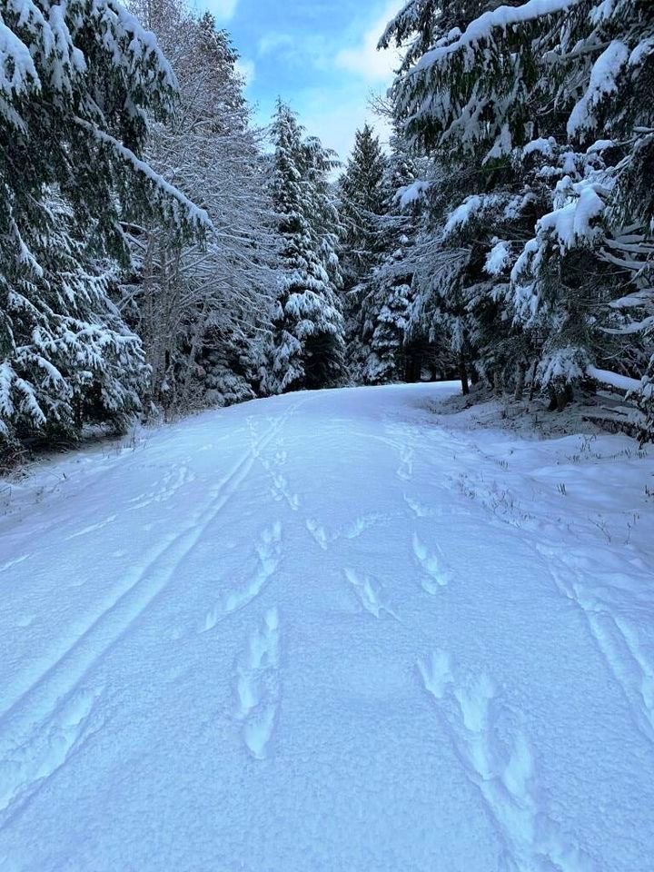 Membership Meeting, Re Store, Bellingham, 12 March 2024 | AllEvents