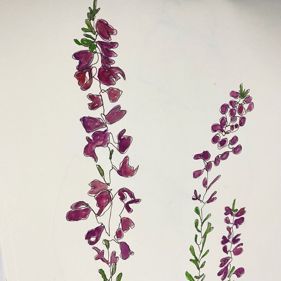 ADULT Mark Making: wild flowers, The Thrive Hive CIC, Hartlepool, 27 ...