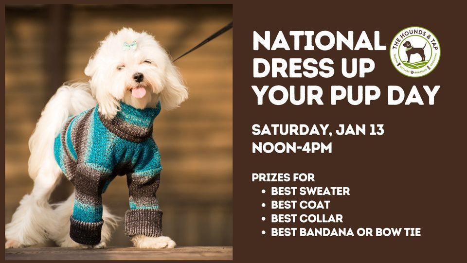 National Dress Up your Pup Day Event!, The Hounds & Tap, Menomonee ...