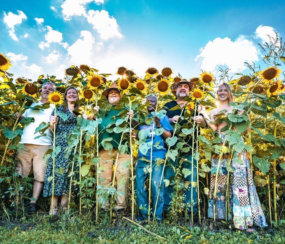 Mr. Blink "Shine" Tour finale at the Main with The Mascot Theory, The ...