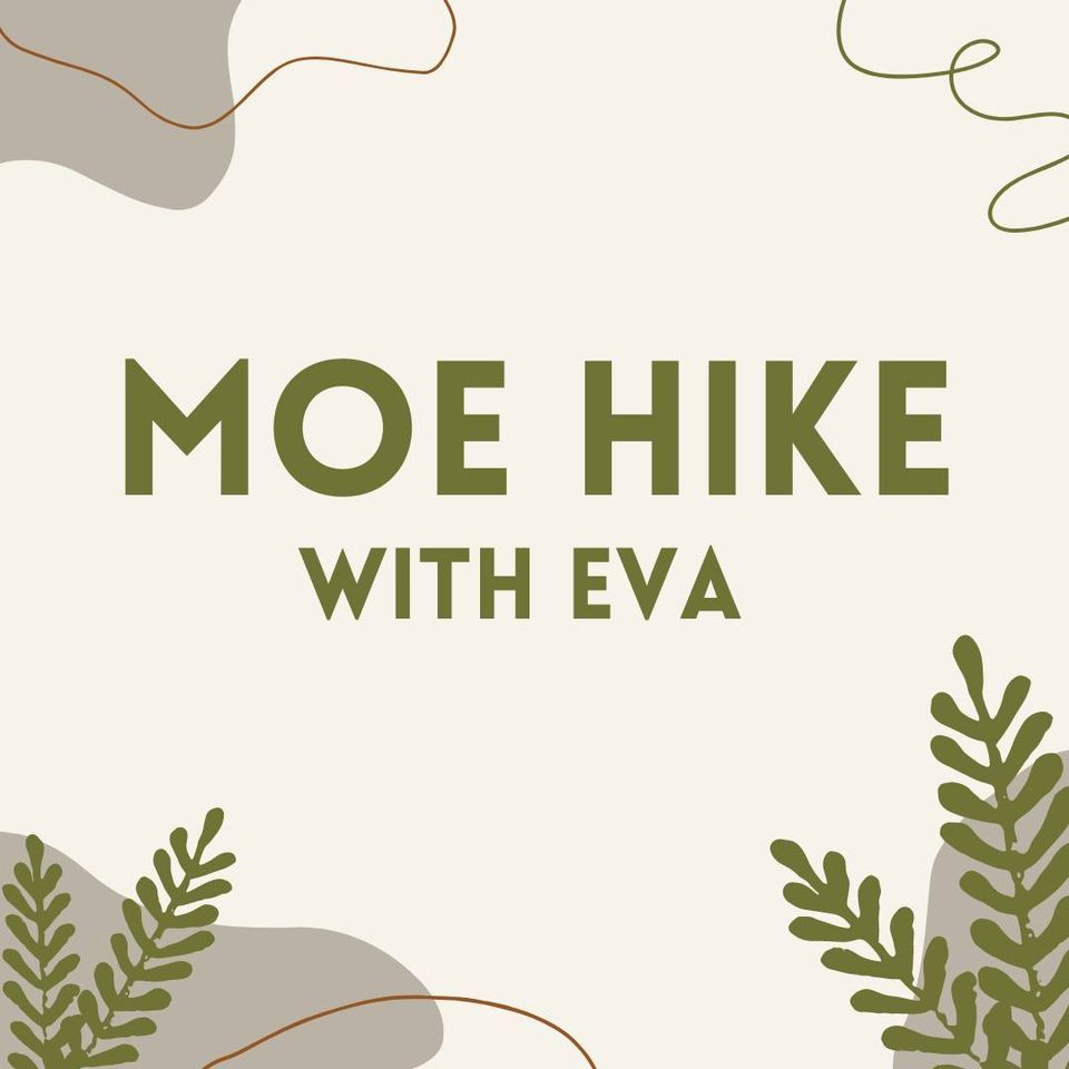 MOE Hike at Charlie Elliott, Charlie Elliott Wildlife Center, Mansfield ...