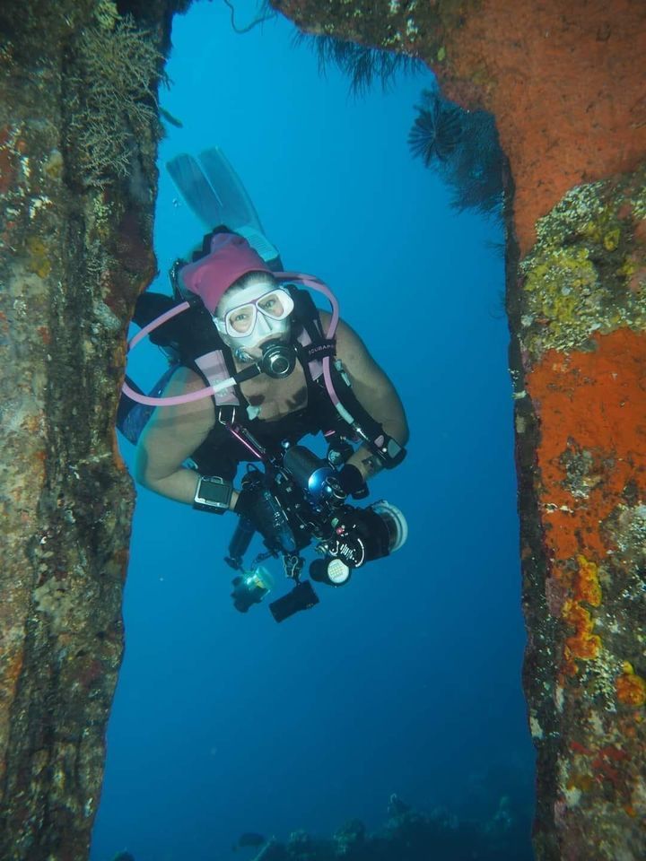 World Womens Day Dive, Bass Point Reserve, Shellharbour, Shellharbour ...
