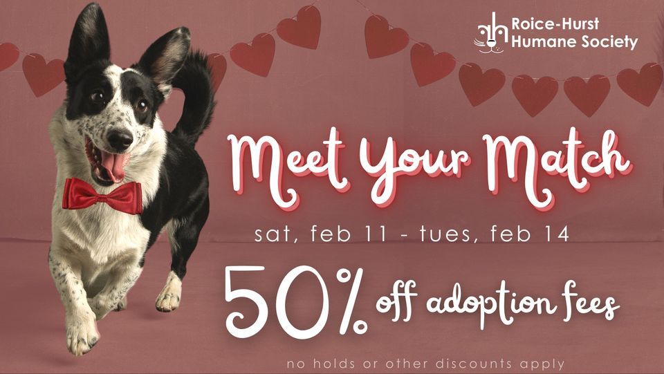 Meet Your Match 50% Off Pet Adoption Special, Roice-Hurst Humane ...