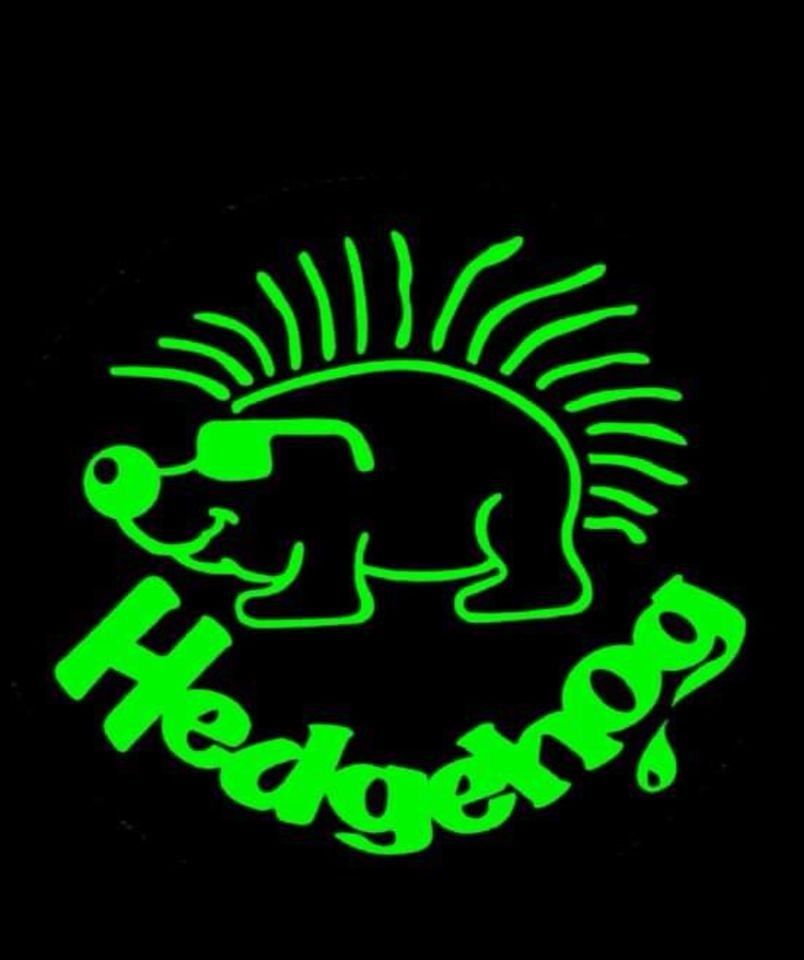 HEDGEHOG ROCK BAND , The Chadwell Arms, Grays, June 28 2024 | AllEvents.in